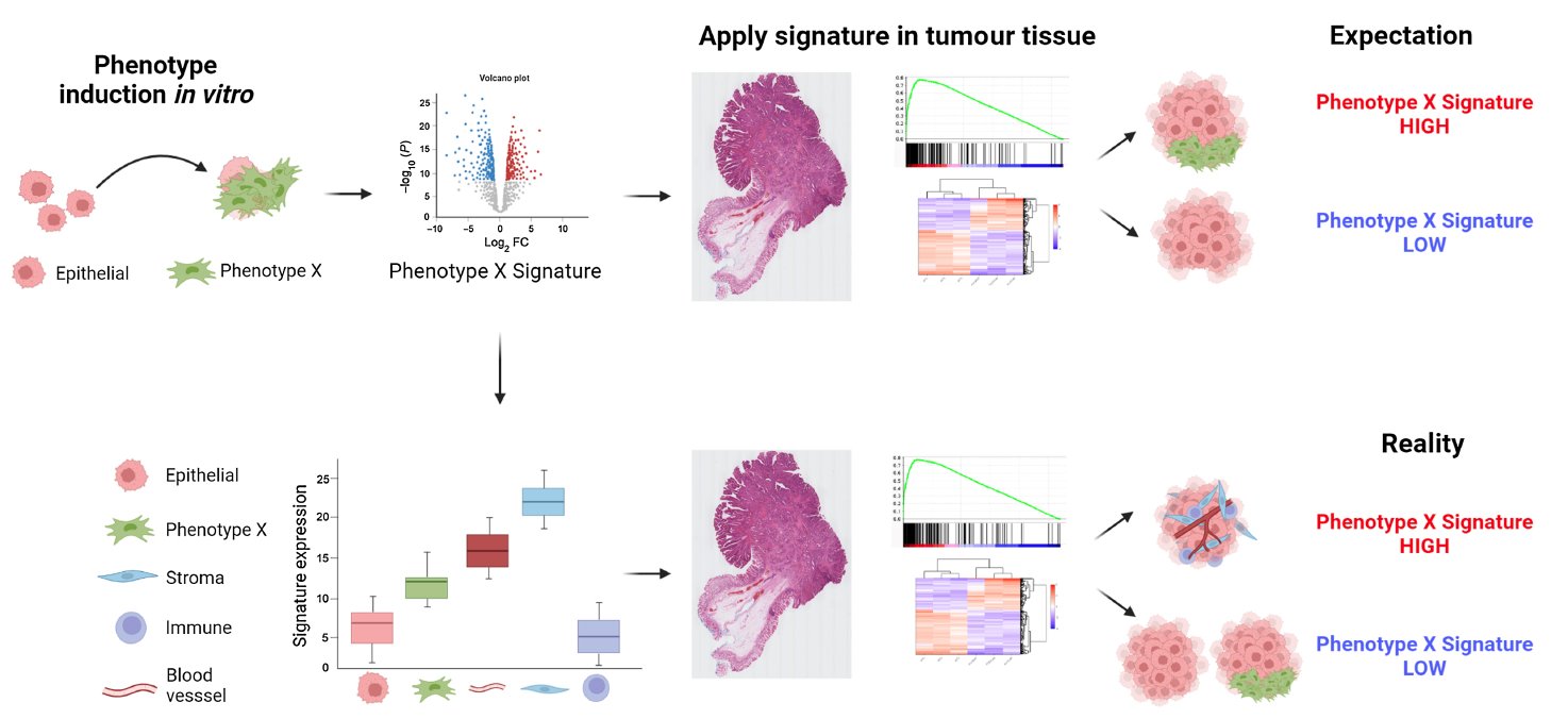 Preventing misinterpretation of cancer gene expression signatures ...